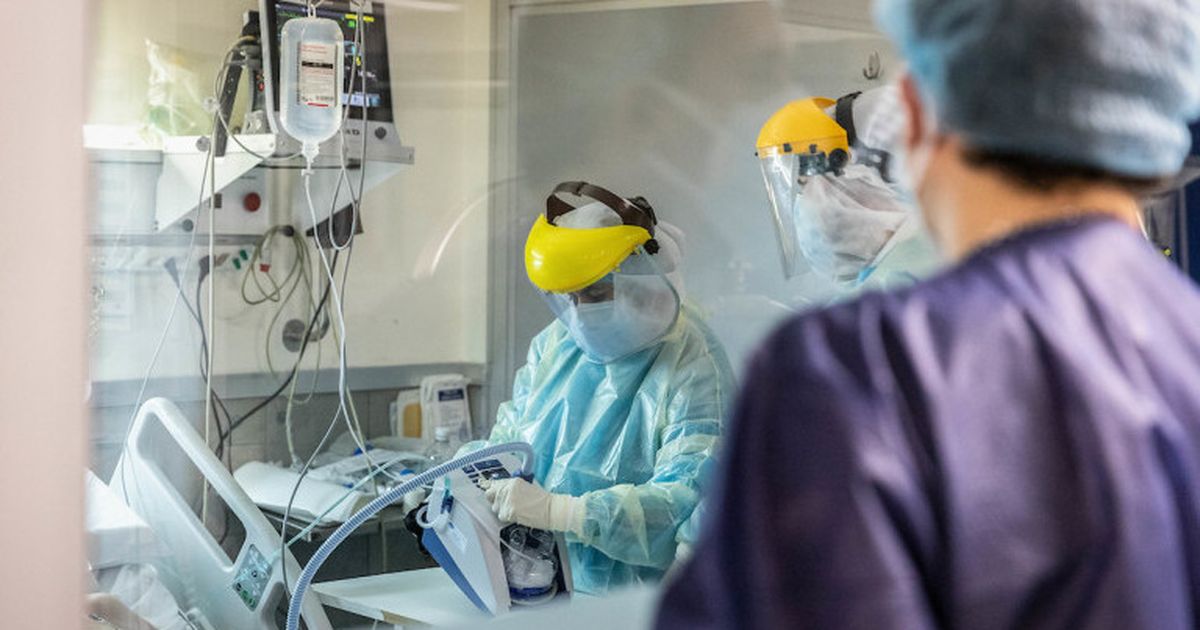 En el futuro se va a ver más el efecto de la vacunación, según GACH