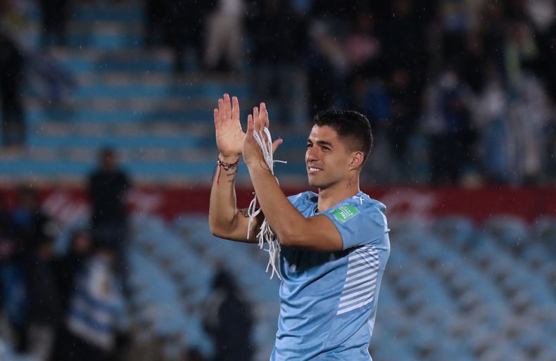 Los nueve momentos del 9 en la selección: el gran recorrido de Luis ...