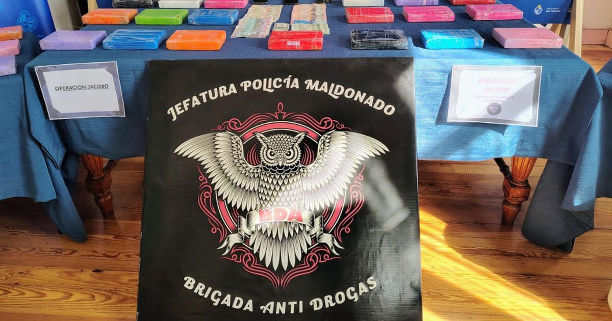 Incautaron 53 kilos de cocaína de máxima pureza en Maldonado y hay un ...