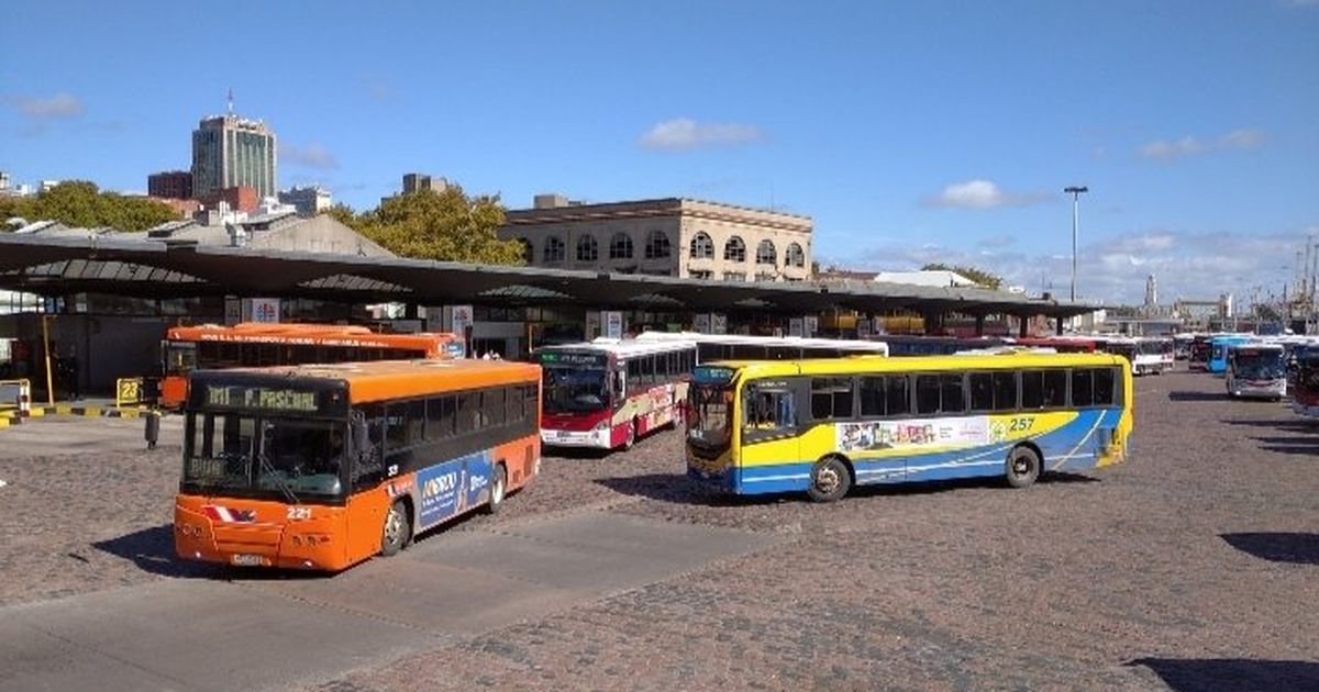 MTOP informó cómo funcionarán los suburbanos el 18 de julio