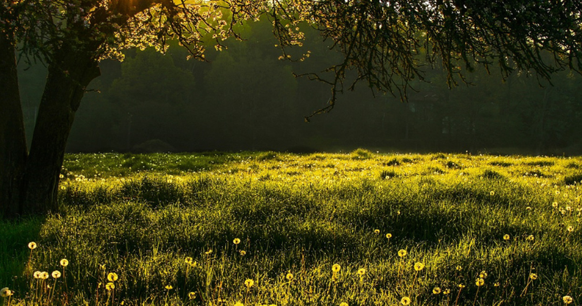¿Cuál es la tendencia climática para esta primavera?