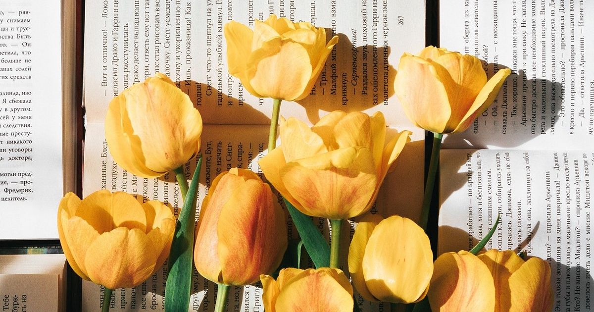 Boom de ventas: con el inicio de la primavera, los puestos se llenaron de flores amarillas