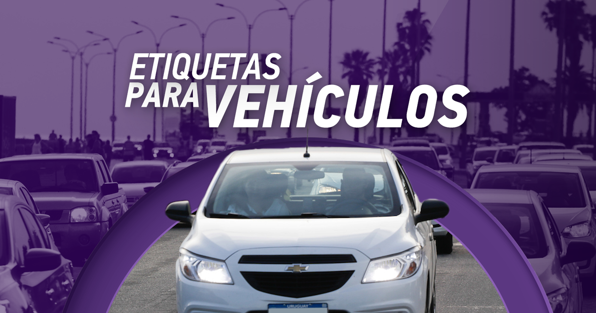 Etiquetado de vehículos: ¿Qué es y para qué sirve?