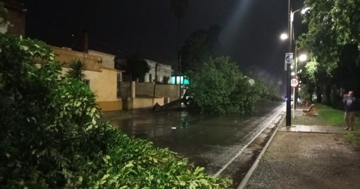 Una turbonada con vientos de 115 kilómetros azotó Florida