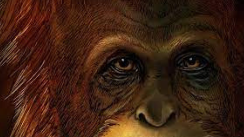 Auge y caída del mayor simio de todos los tiempos