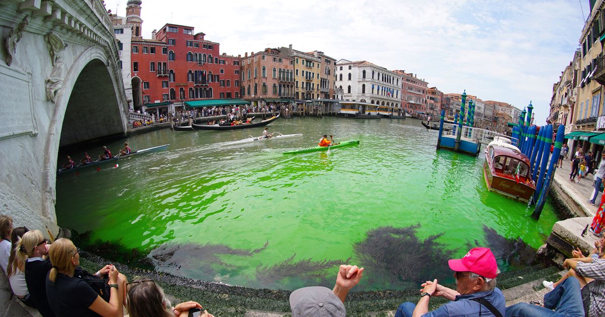 El Gran Canal de Venecia se tiñe de verde fosforescente