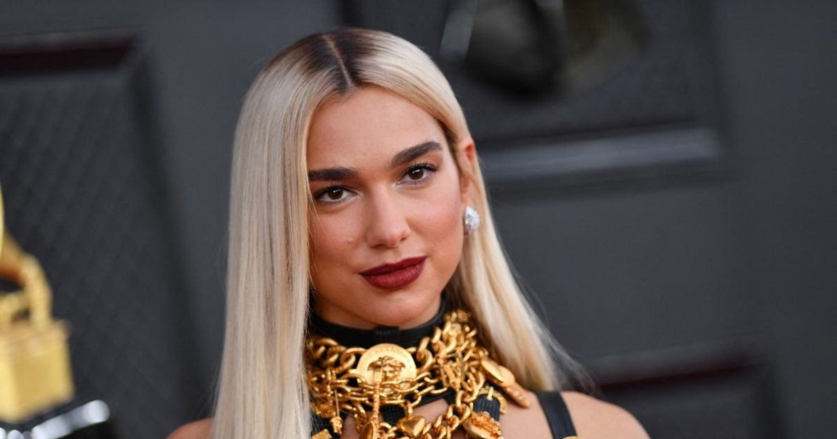 Paparazzi demandó a Dua Lipa por publicar fotos suyas en Instagram