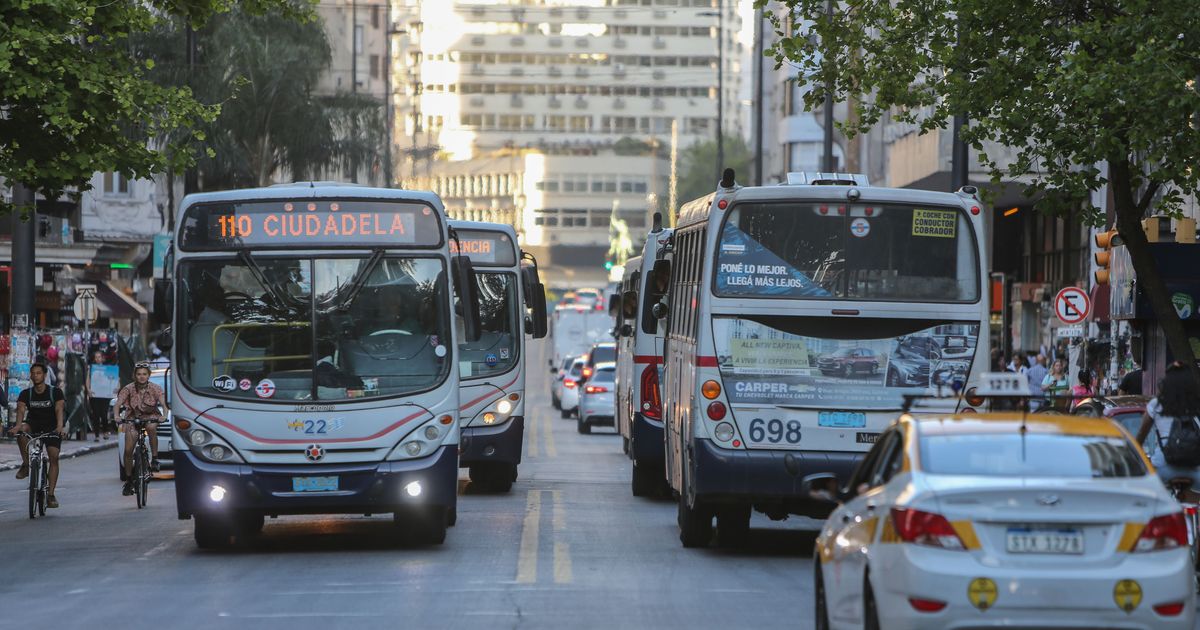 Nueva línea de ómnibus en Montevideo: aquí su recorrido