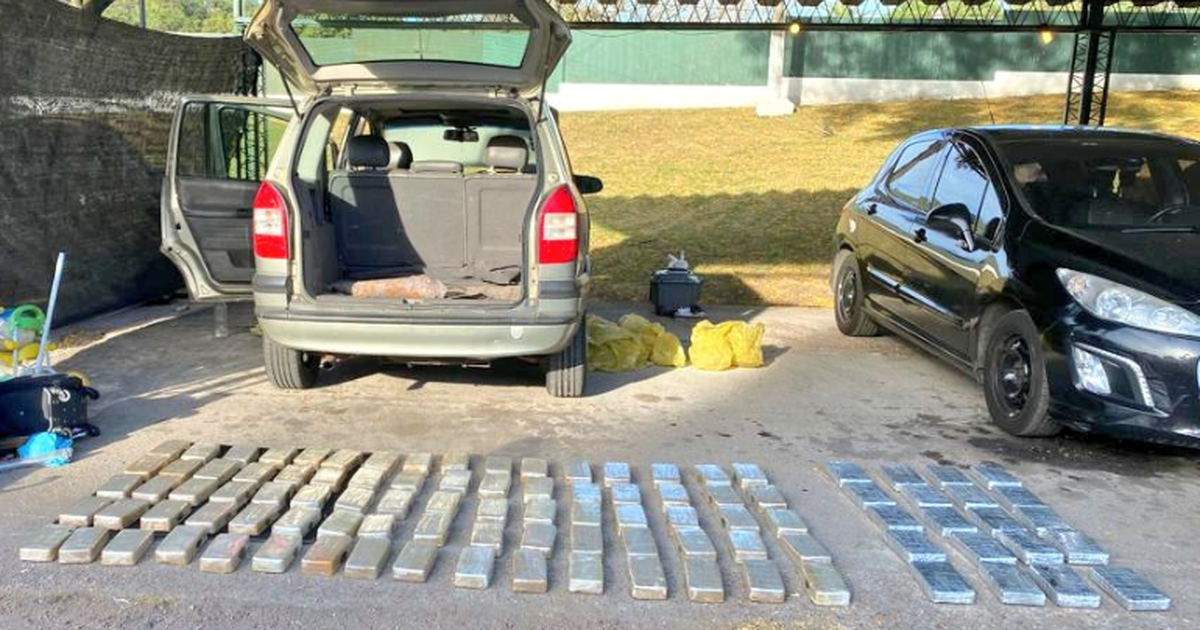 Incautaron más de 150 kilos de droga tras 11 allanamientos