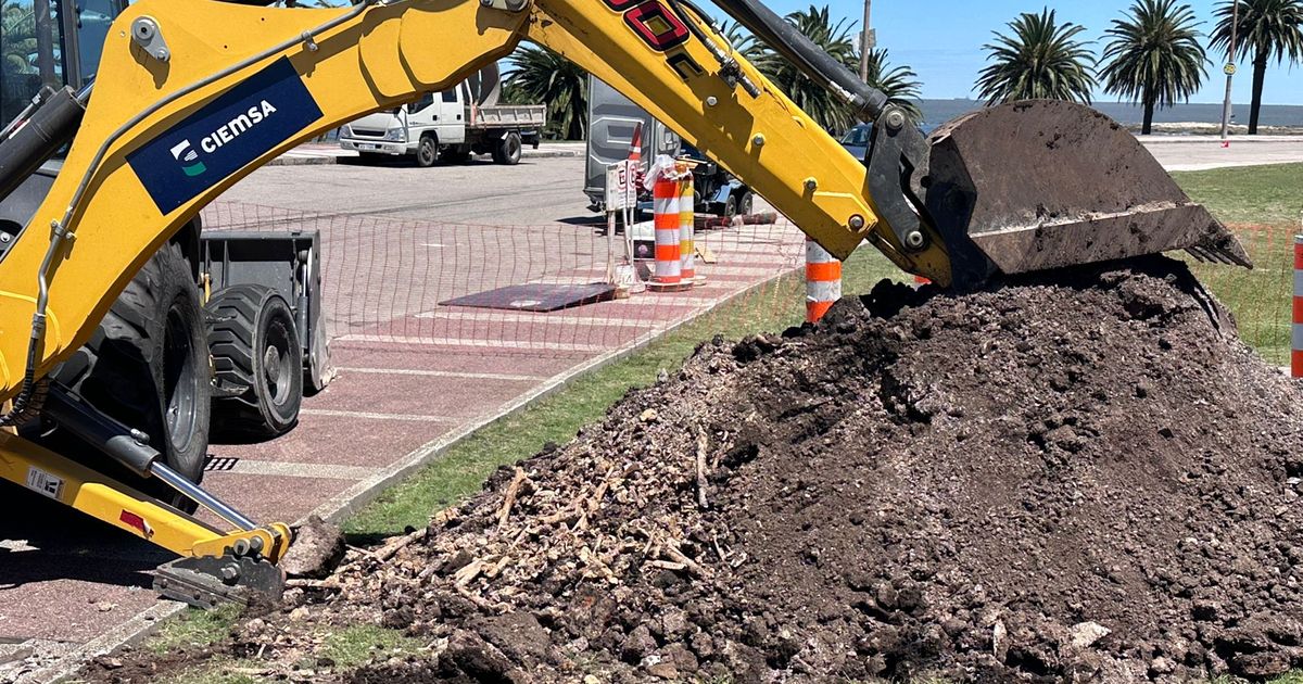 Fiscalía liberó la zona donde fueron encontrados restos óseos en el ...