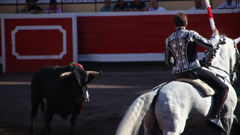 Colombia aprueba la prohibición de las corridas de toros