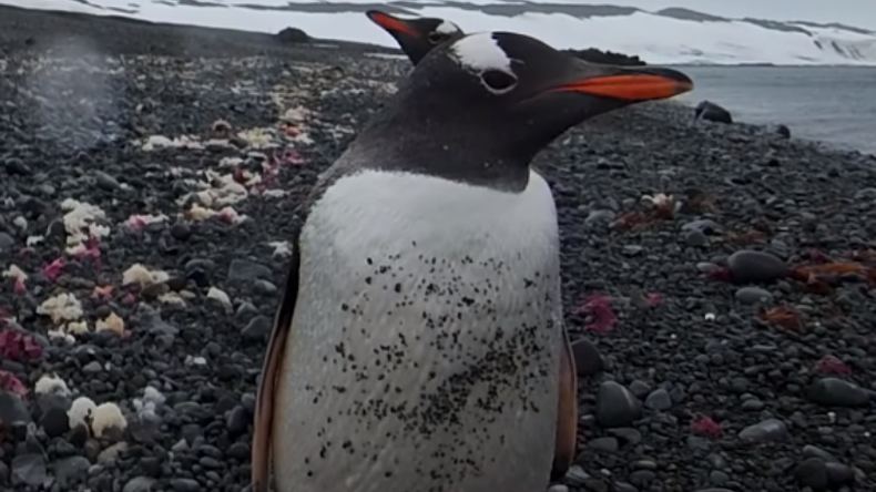 Exhibirán documental en 360 º sobre Base Antártica Artigas