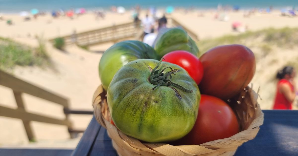 Lo mejor de la gastronomía alrededor de la cata de tomates