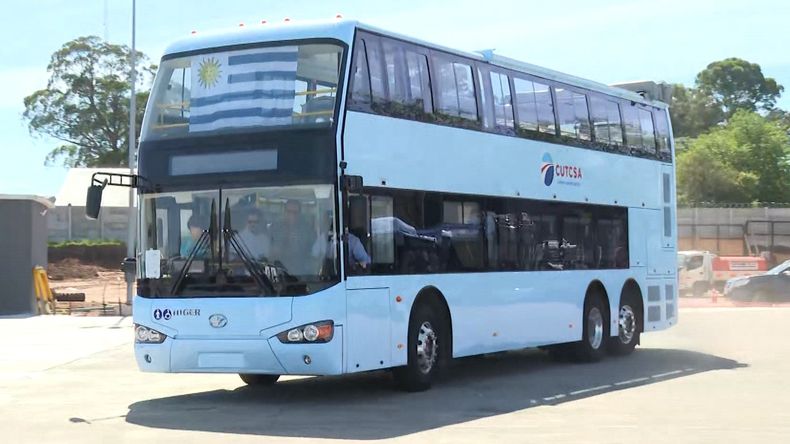 Así son los nuevos ómnibus turísticos que comenzarán a operar en ...