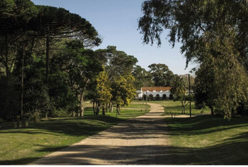 Sabores Patrios en la Sociedad Criolla Elías Regules