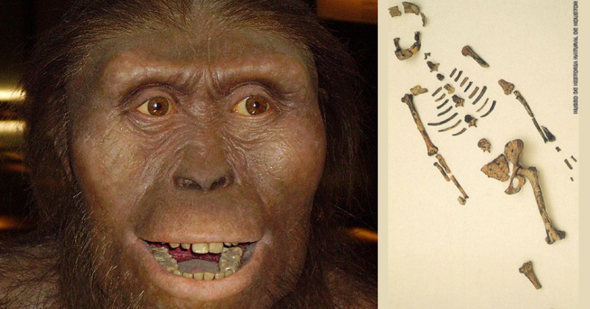 Medio siglo del descubrimiento de Lucy, la mujer más vieja