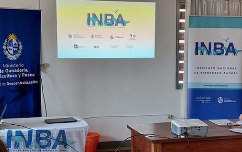 INBA avanza en sancionar a veterinarias de Santa Lucía